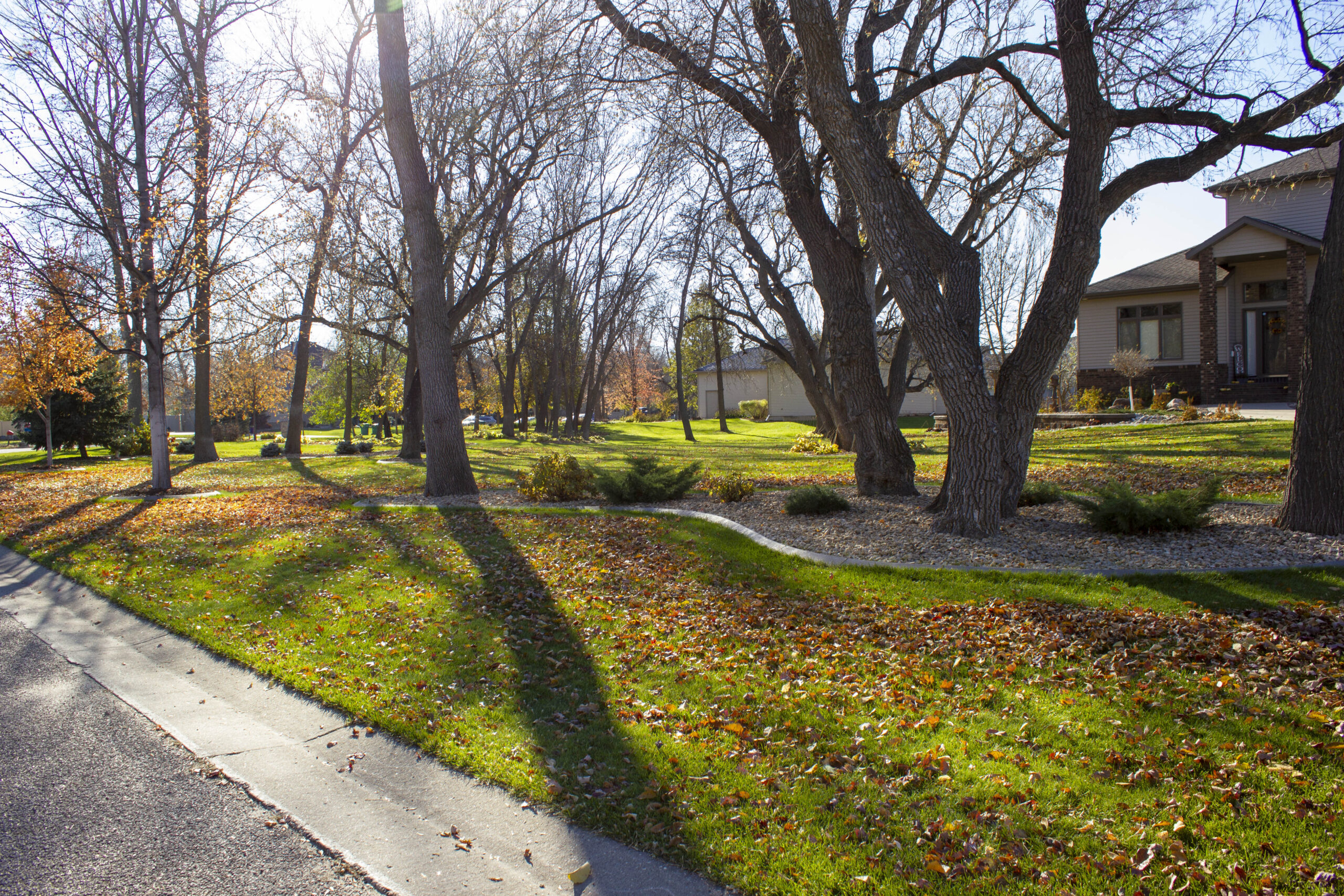 Top 5 Steps to Prepare Your Lawn This Fall - All-Terrain - Fargo, ND